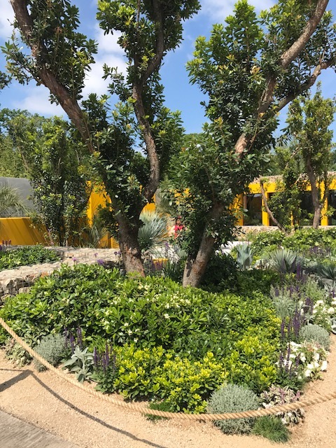 The Standard is Stunning ! – Caragh Nurseries