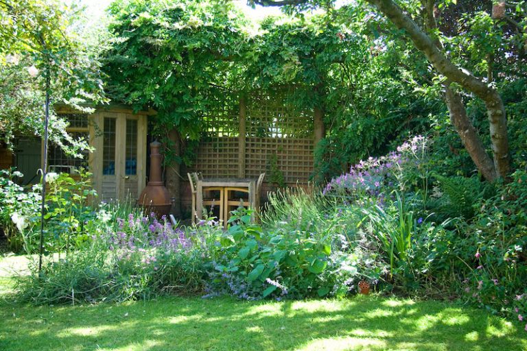 Trees – for small gardens – Caragh Nurseries