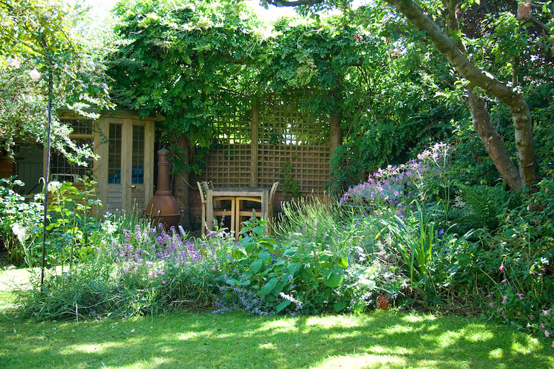 Trees – for small gardens – Caragh Nurseries