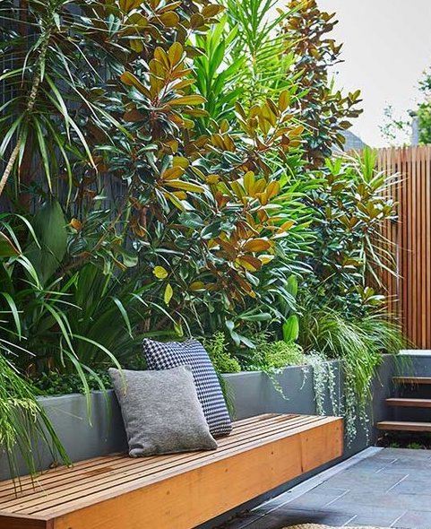 Tropical Planting above bench – Caragh Nurseries