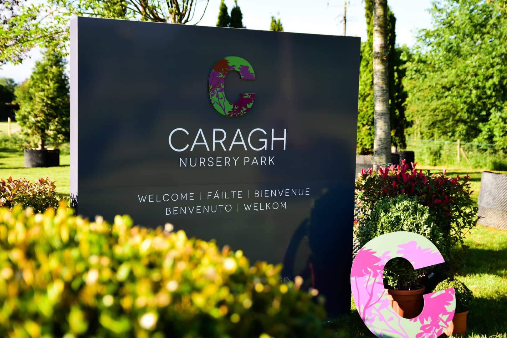 Our launch event – Caragh Nurseries