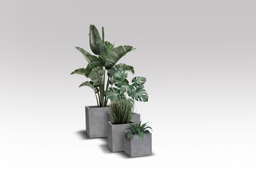 Piazza Planter Cubes in Stone Grey – Caragh Nurseries