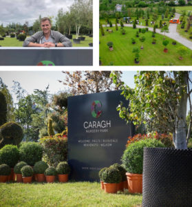Caragh Nursery Park – Caragh Nurseries