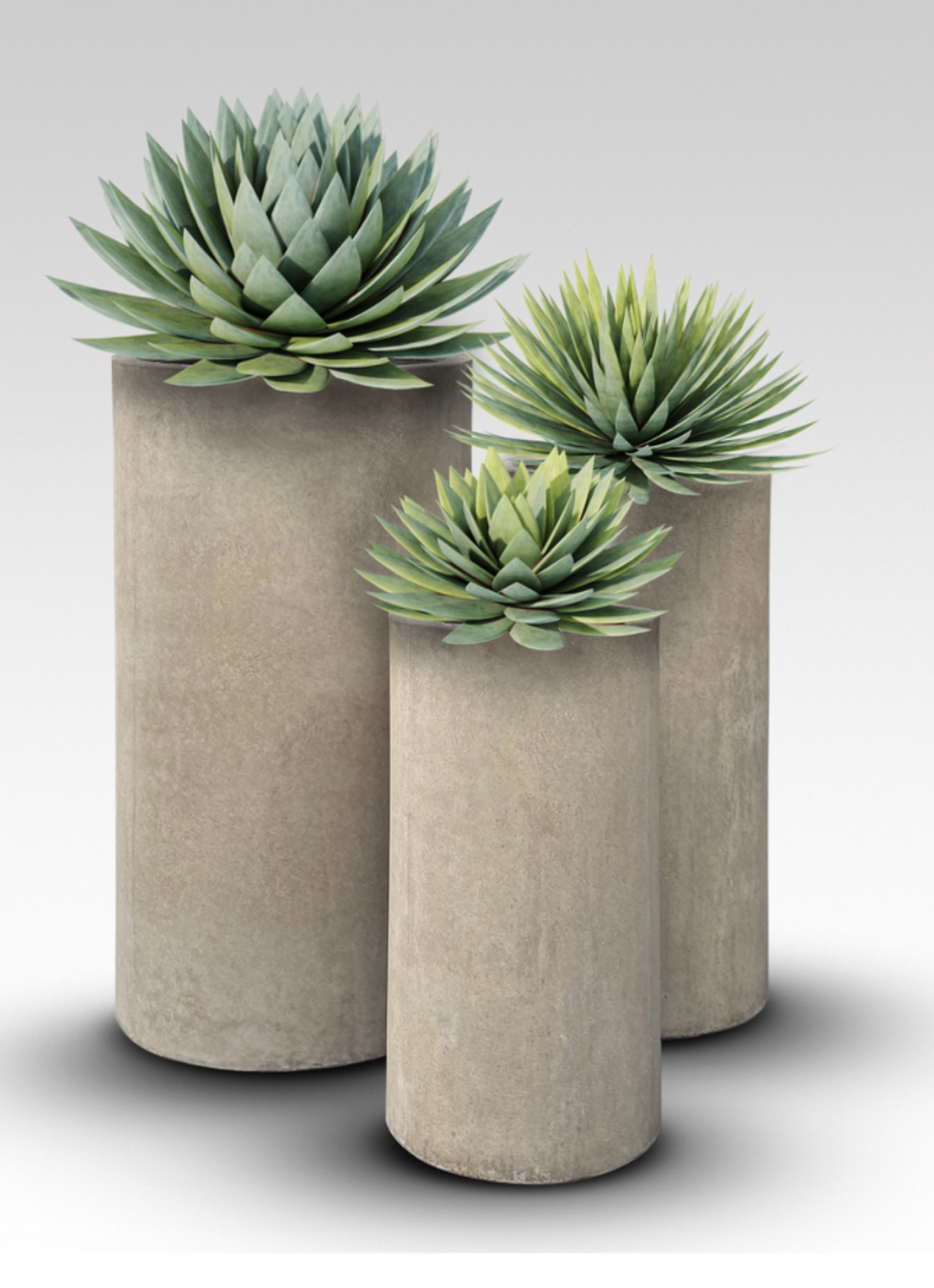 Pots and Planters – Caragh Nurseries