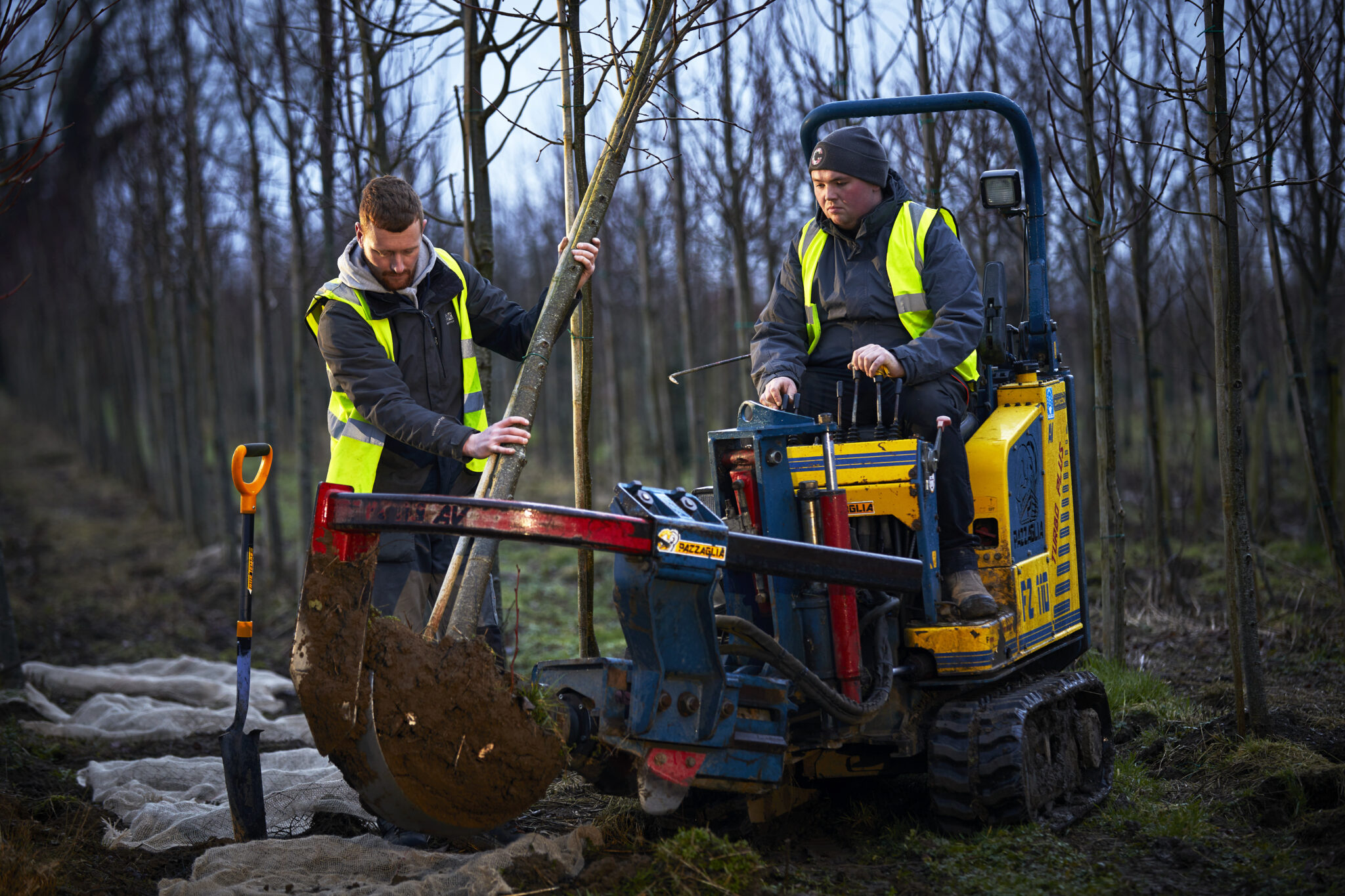 The Art and Benefits of Rootballed Trees – Caragh Nurseries